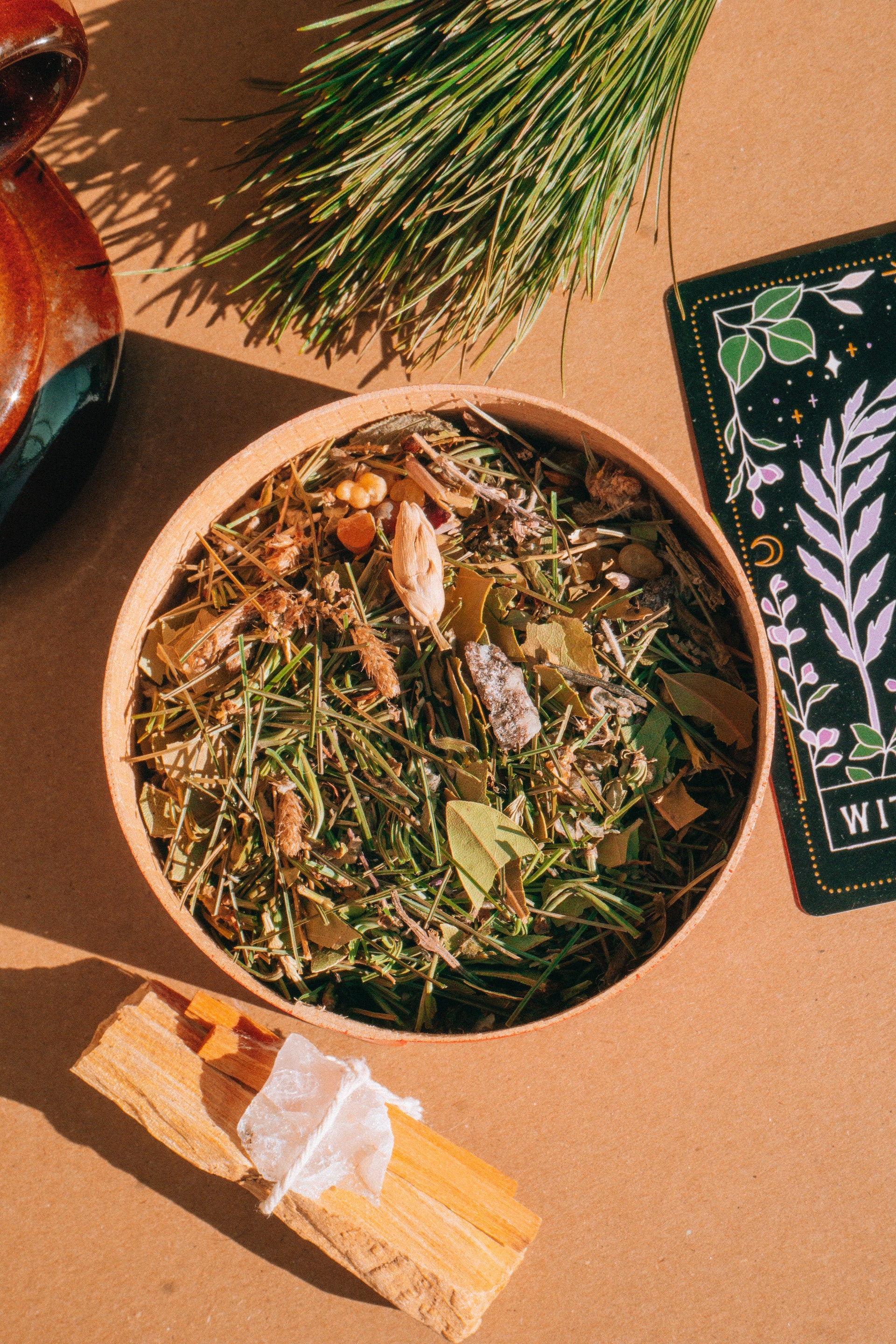 Plant Shamanism 101: Initiating Your Journey into the Plant Realm ...