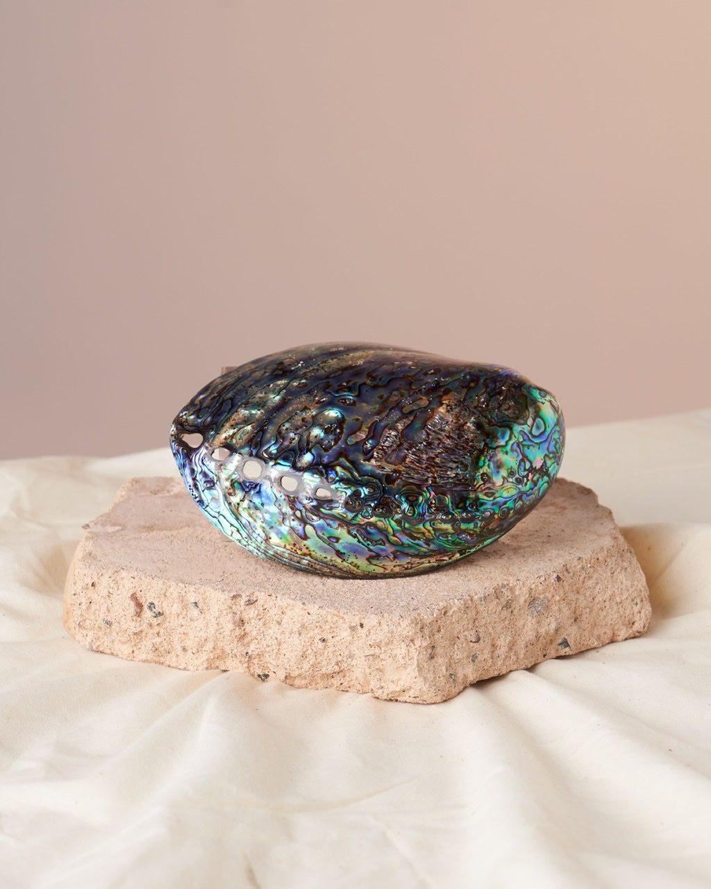 Polished Paua Shell – Heritage Apothecary